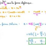 Exercices corrigés : Dérivées des fonctions exponentielles - maths-space.com